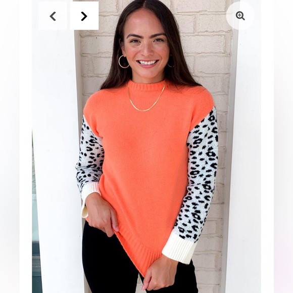 THML | Sweaters | Thml Atacama Colorblock Leopard Print Long Sleeve ...